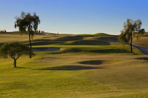Learn about our 36-Hole Facility in Oxnard | River Ridge Golf Course