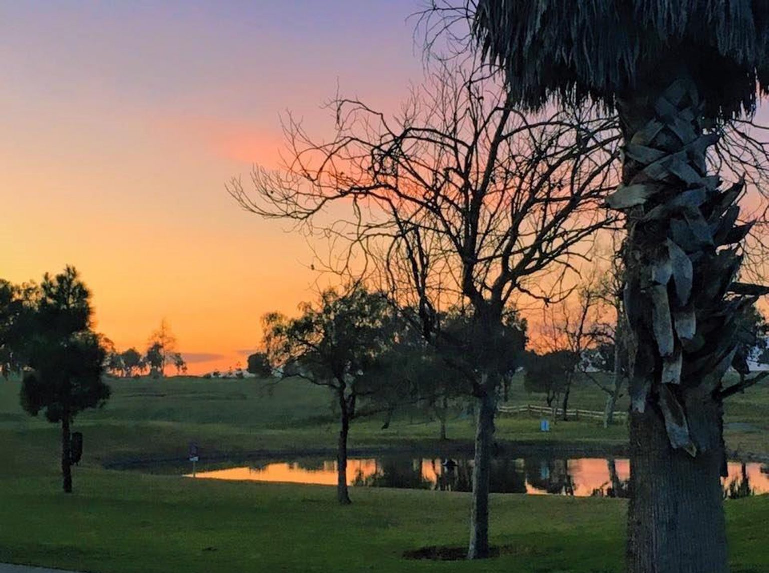 Learn about our 36-Hole Facility in Oxnard | River Ridge Golf Course